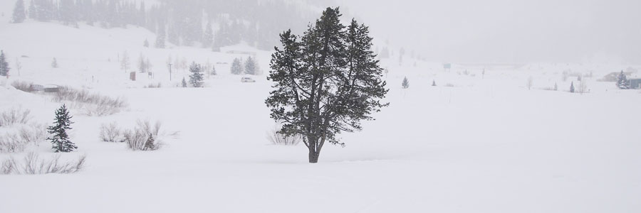 What is a Snow Squall?