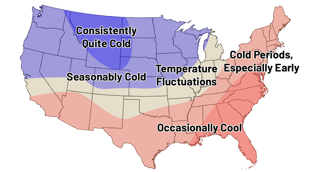 Cracking the Code of the 2024-2025 Winter Season