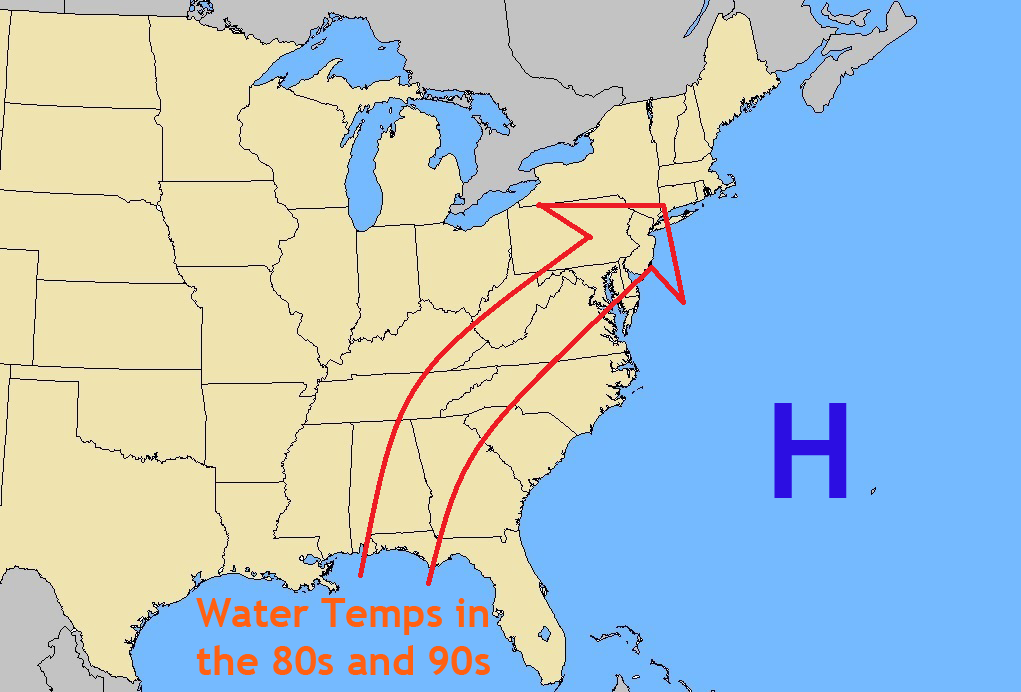 How does the Wind Impact Temperatures?