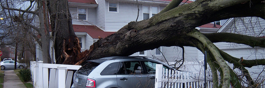 Severe Weather Hazard Safety Guide